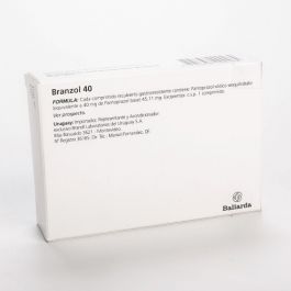 BRANZOL IV 1 AMPOLLA